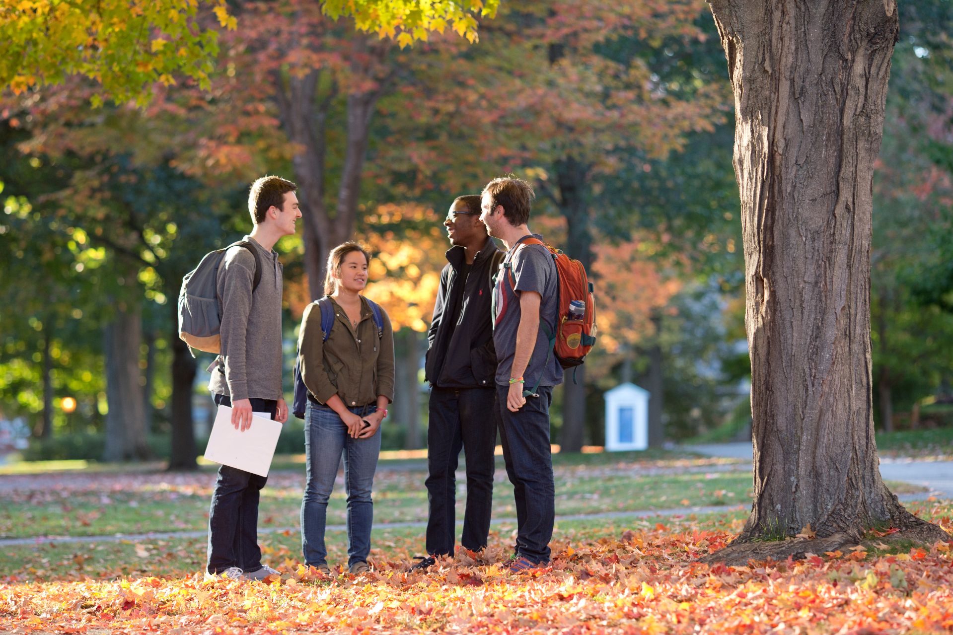 Admission | Bates College