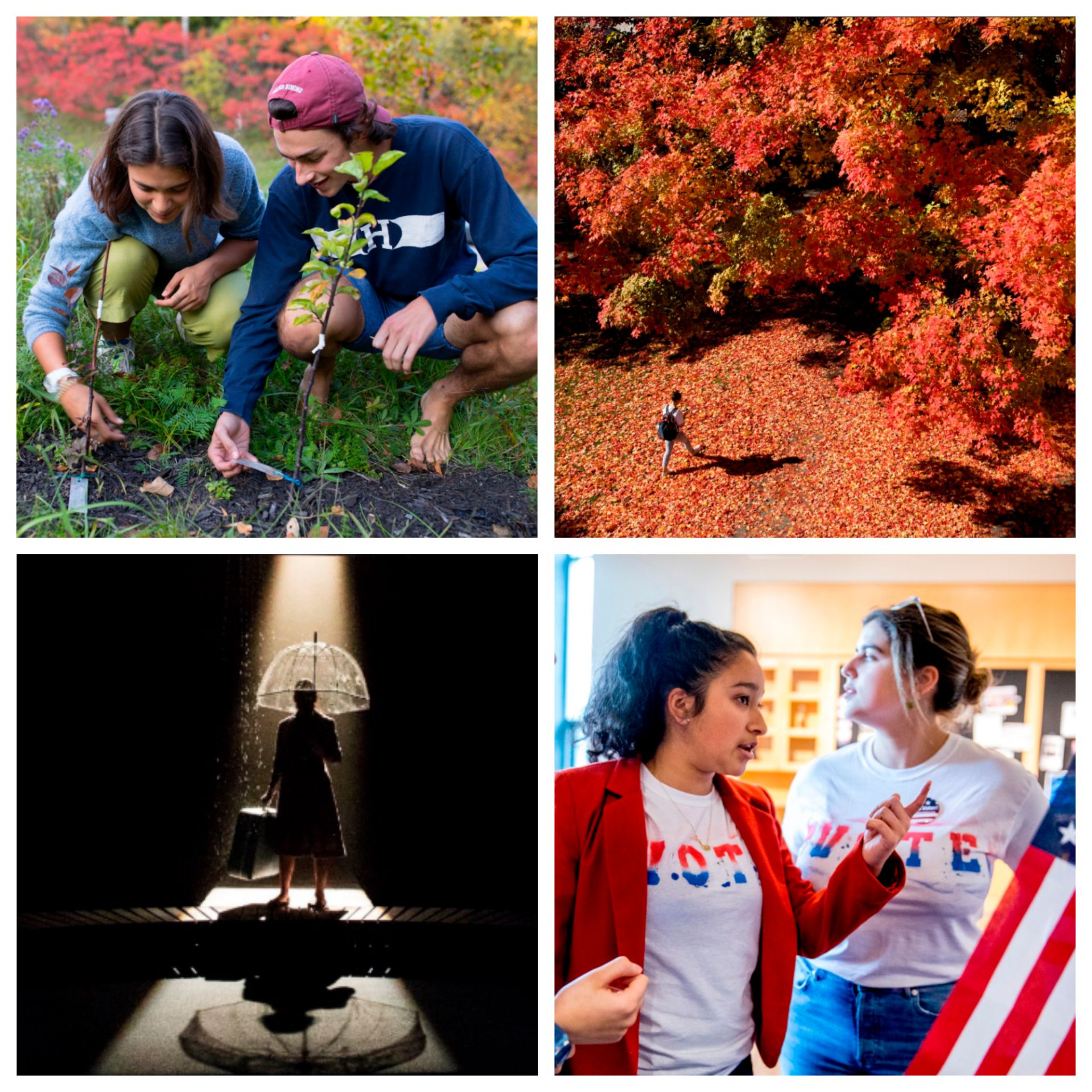 Fall Snapshot | Admission | Bates College