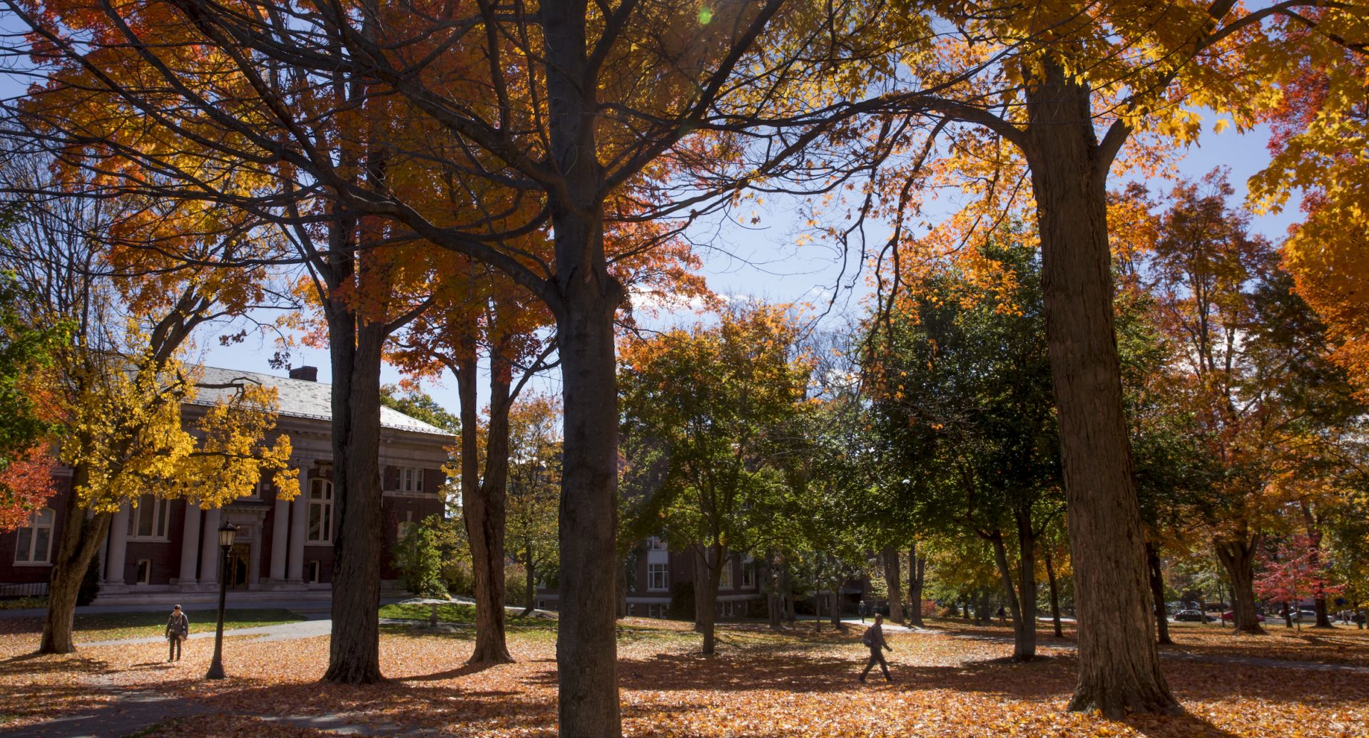 QuestBridge and Bates College | Admission | Bates College