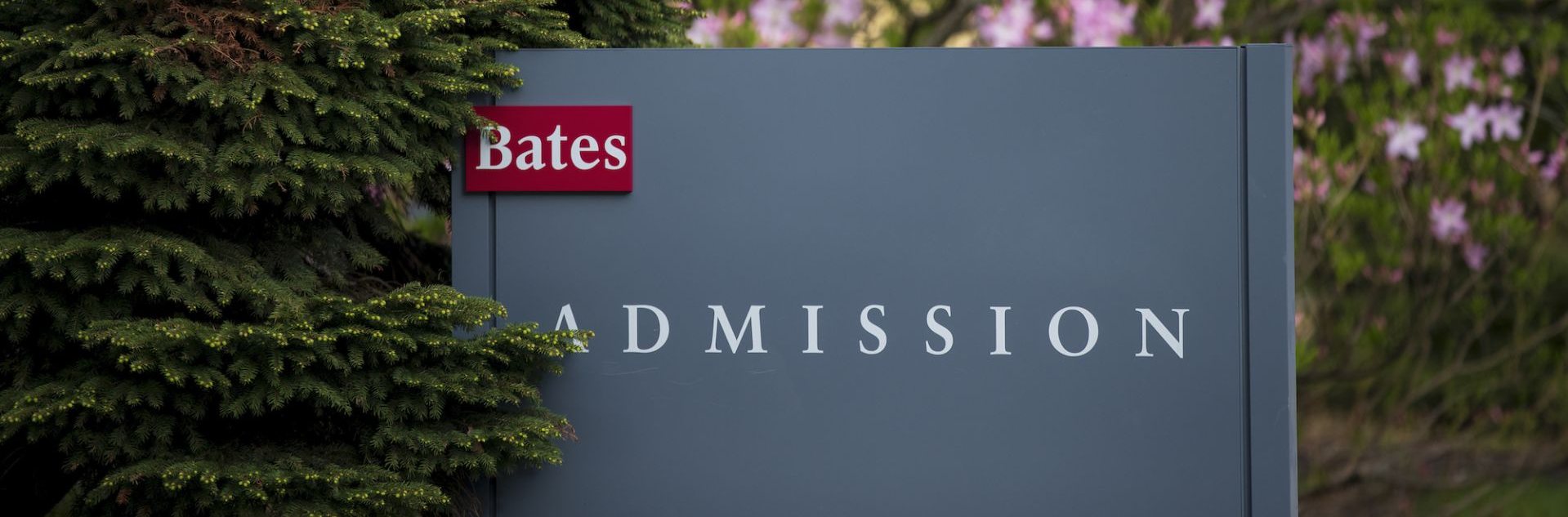 Admission Team by Region | Admission | Bates College