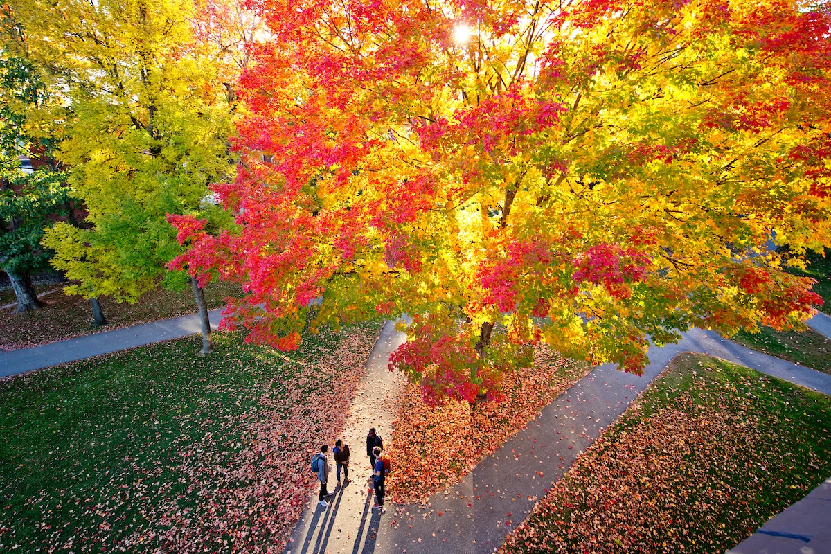 Campus Visits & Events | Admission | Bates College