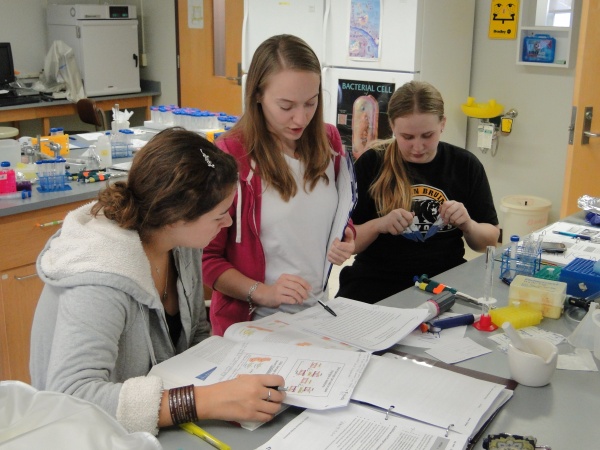 Stephanie Quill - KNILT