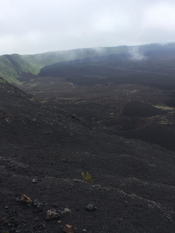 A hike up Sierra Negra | Biology | Bates College