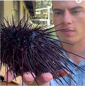 Students do summer research at Friday Harbor Labs | Biology | Bates College