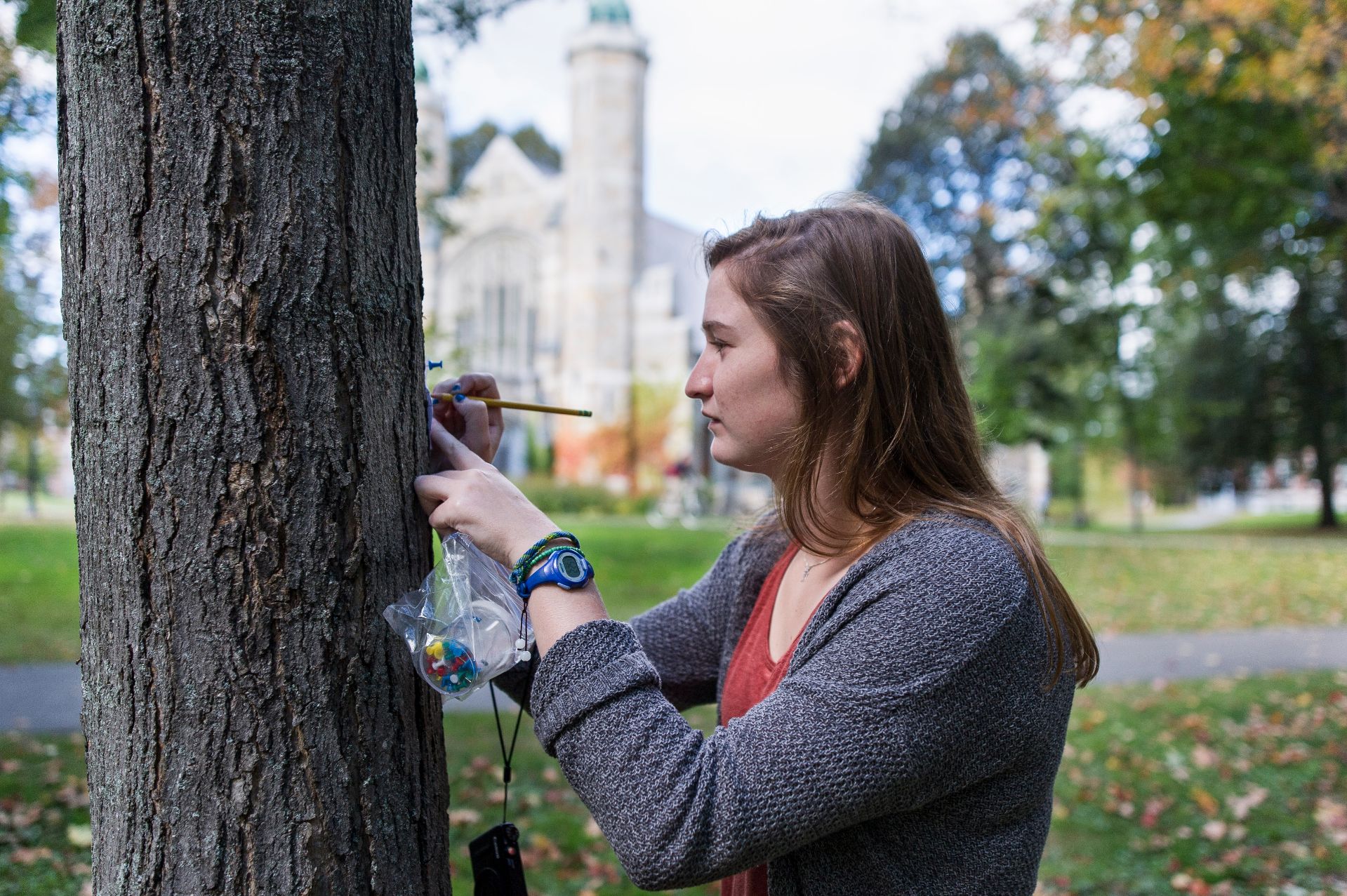 Bates Canopy | Bates College