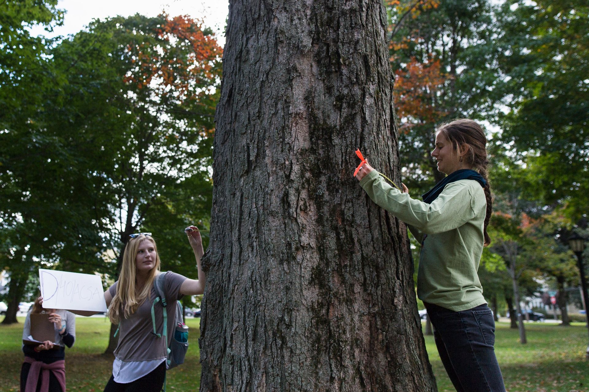 Bates Canopy | Bates College