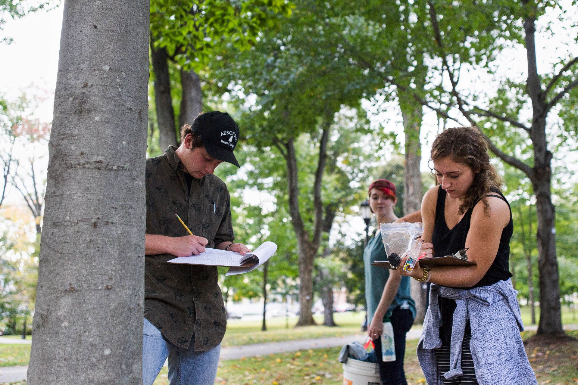 Bates Canopy | Bates College