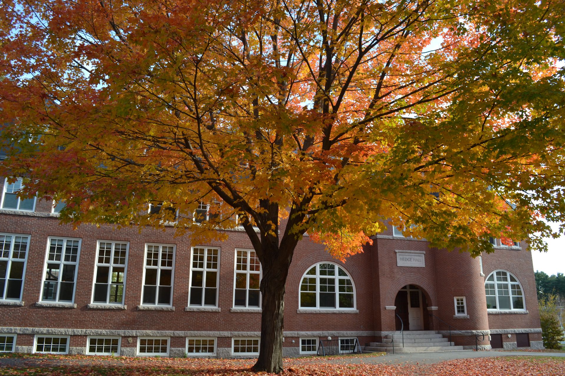 Bates Canopy | Bates College