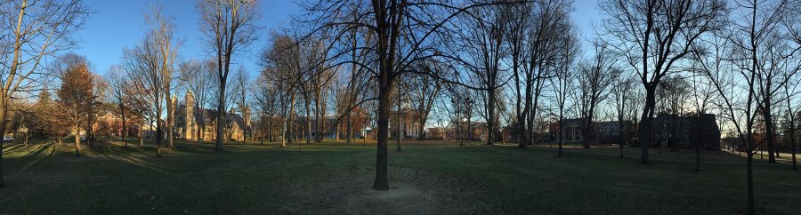 Past and Present | Bates Canopy | Bates College