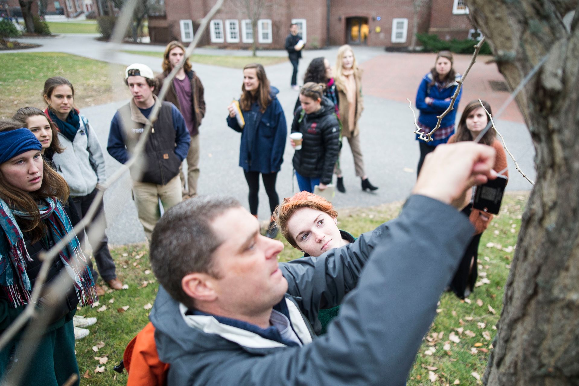 Tree Tags | Bates Canopy | Bates College