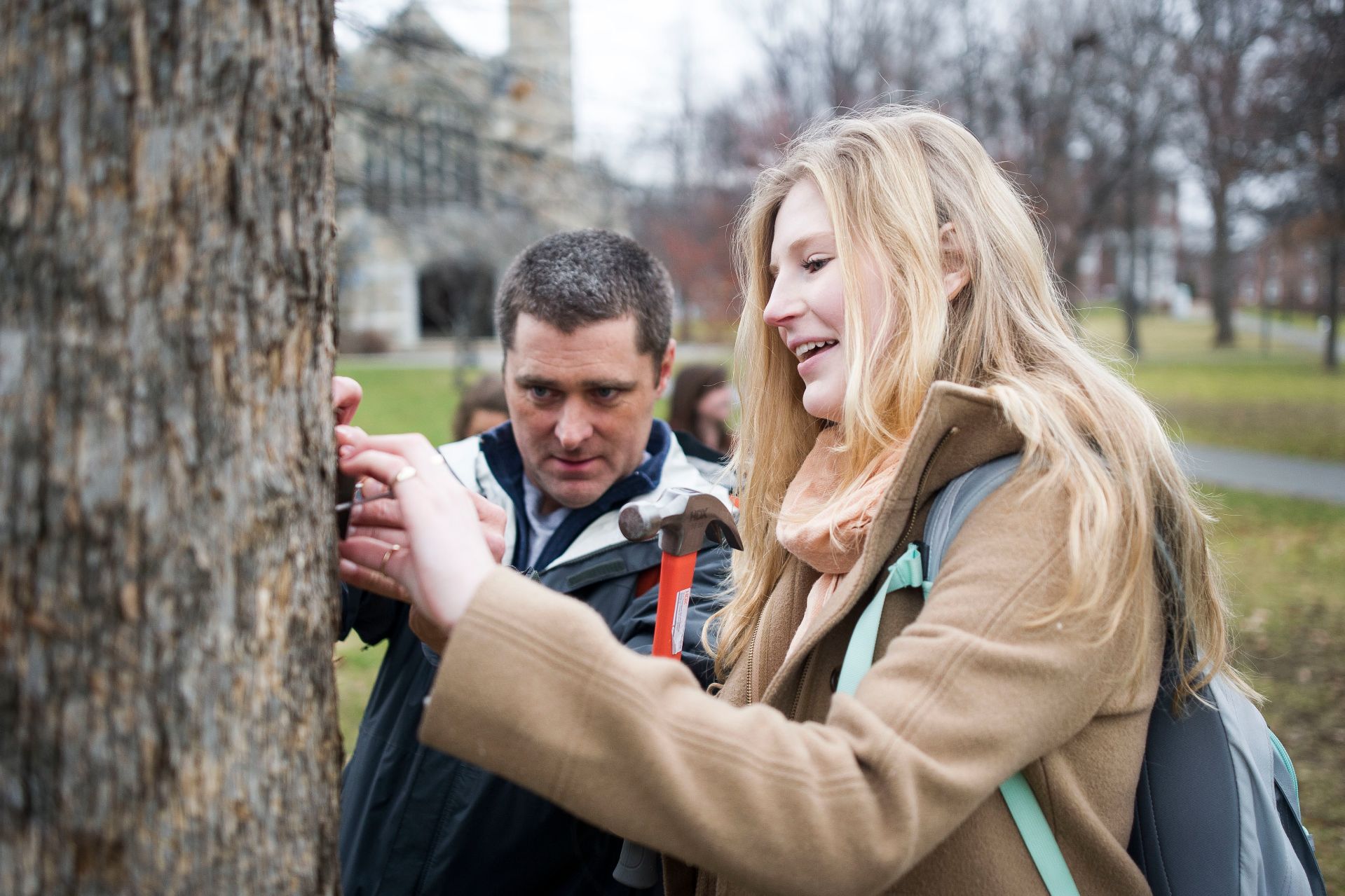 Tree Tags | Bates Canopy | Bates College