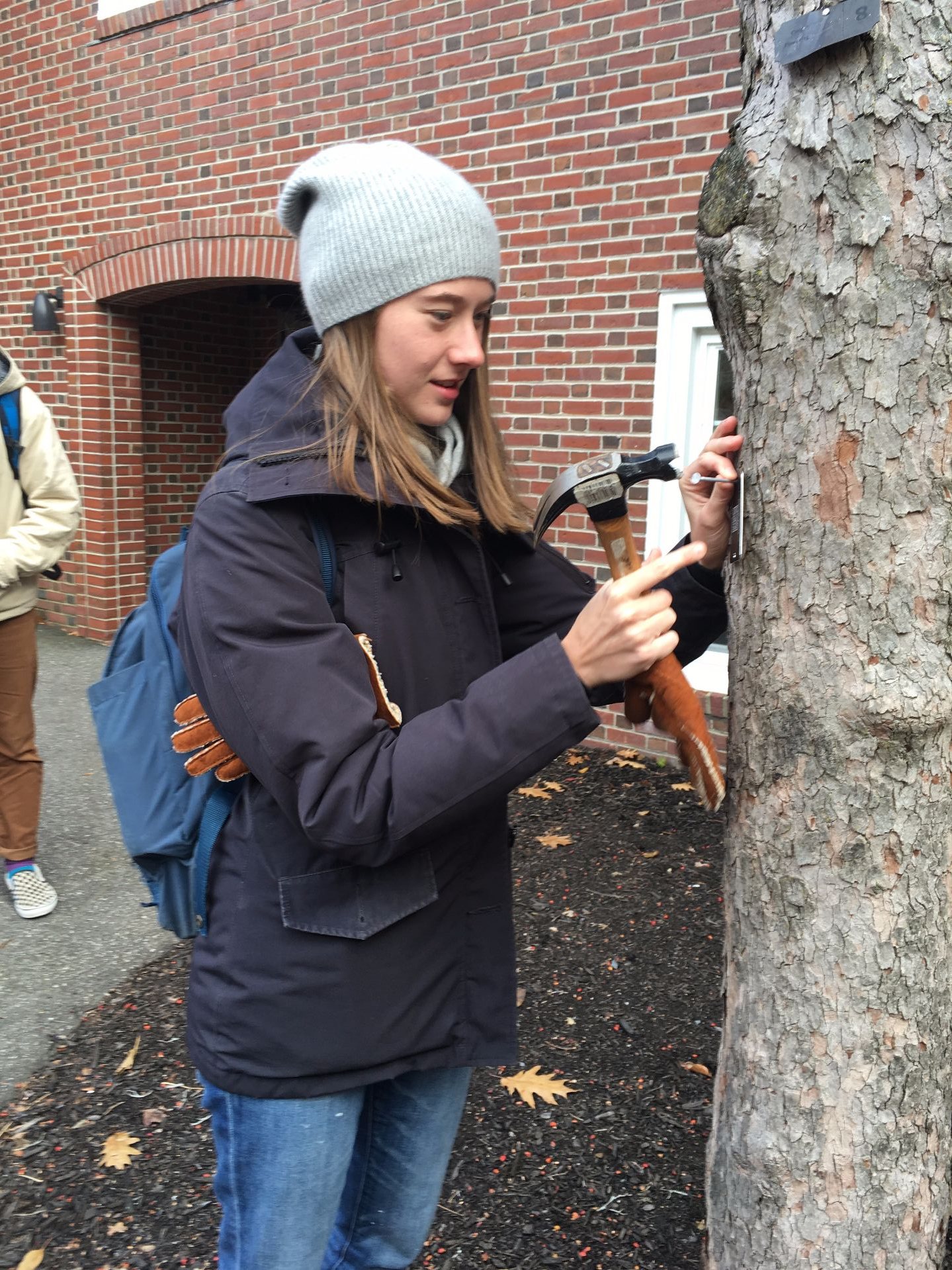 Bates Canopy | Bates College