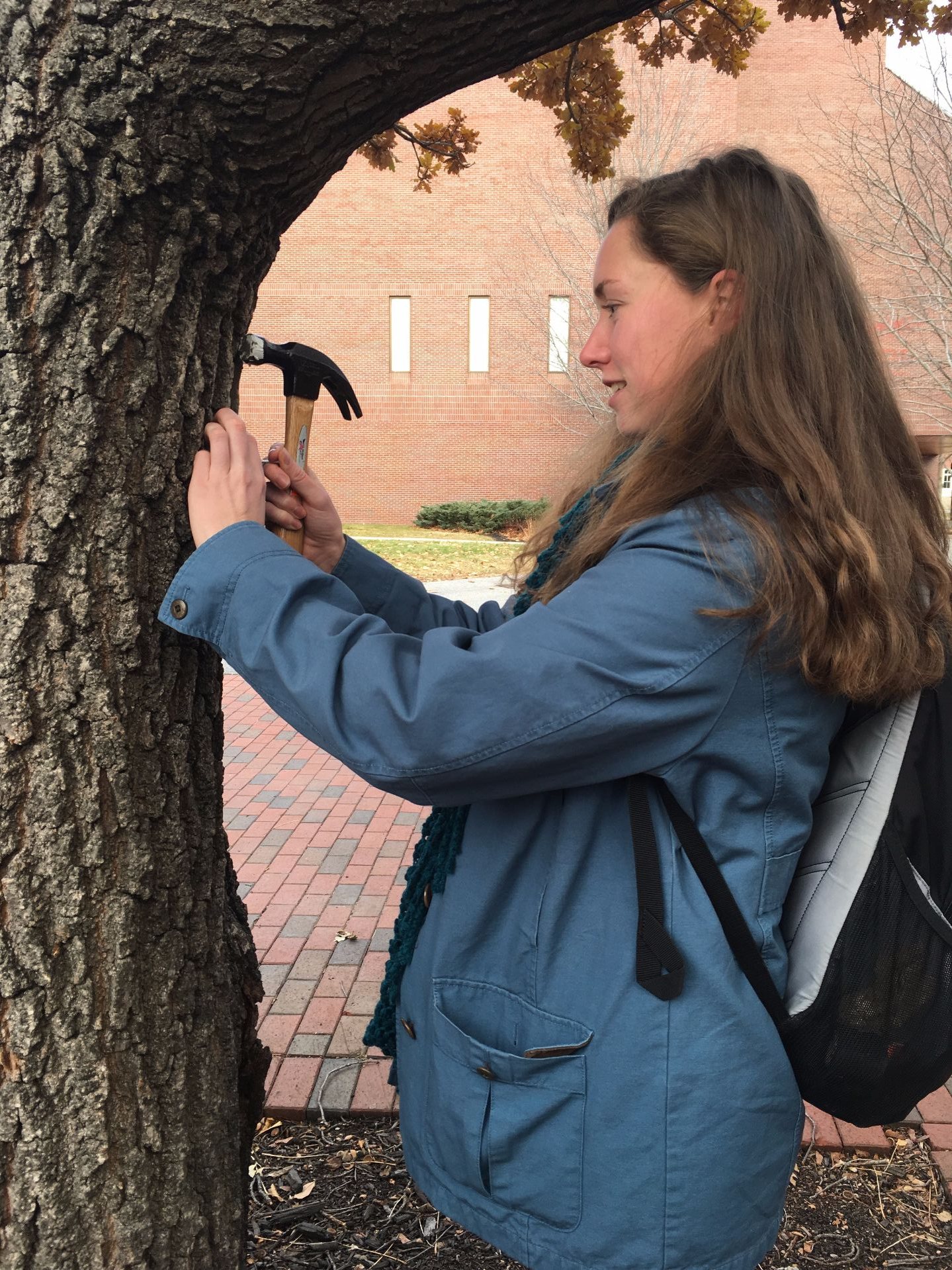 Bates Canopy | Bates College