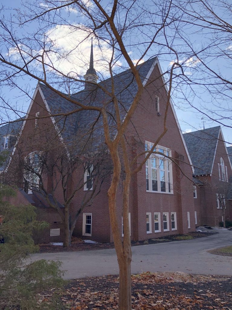 Glossy Hawthorn | Bates Canopy | Bates College
