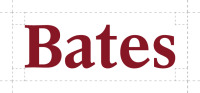 Brand Identity Guide | Communications and Marketing | Bates College