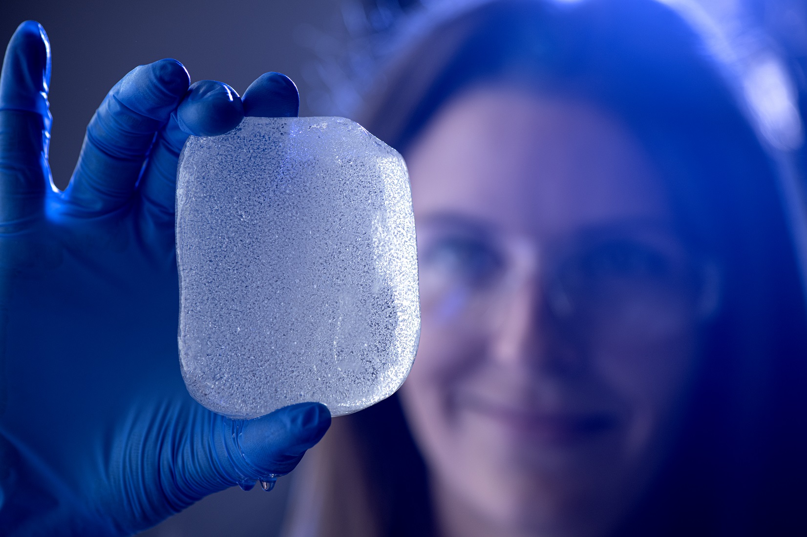 EACS Lunch 2/23/2021 – Fire and Ice: Quantifying past wildfires through ...