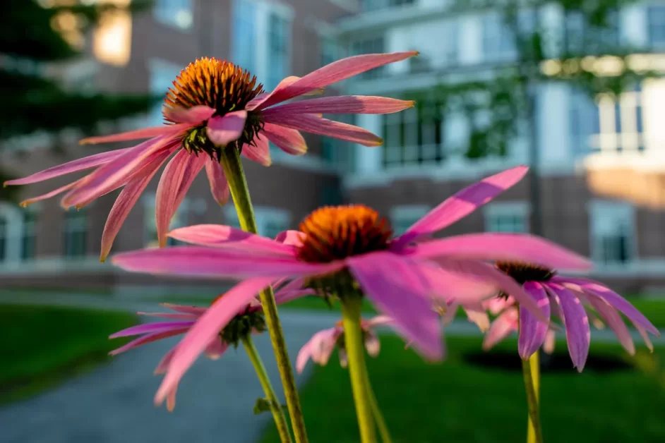 Generosity in Practice | Giving to Bates | Bates College