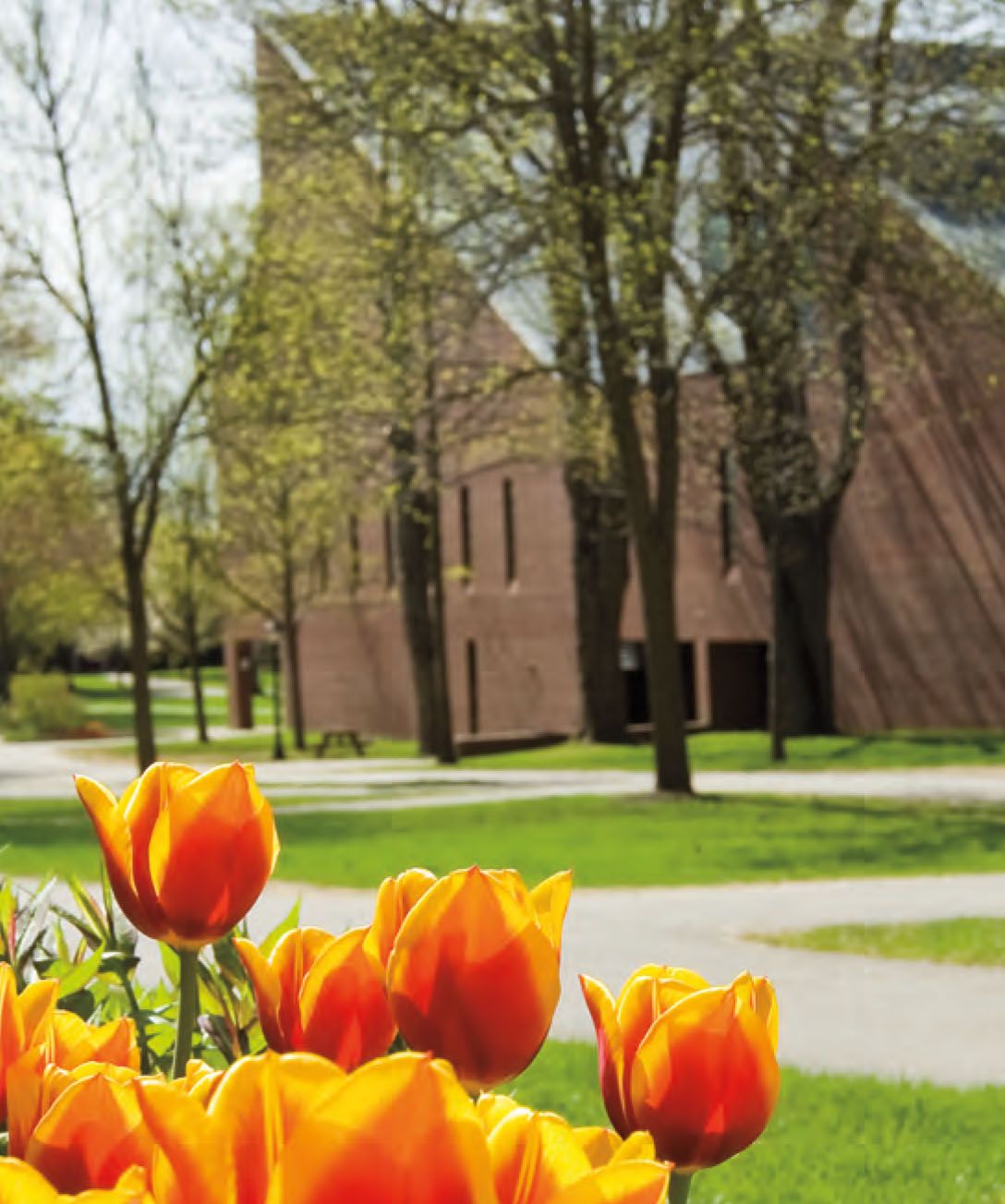 Library Closing Early – Friday, June 15 | Library | Bates College