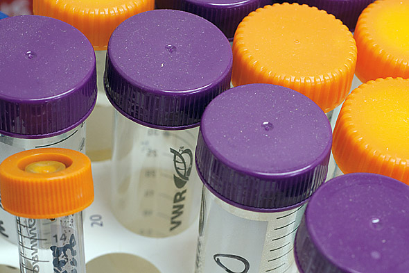 The Drug Makers | Bates Magazine | Bates College