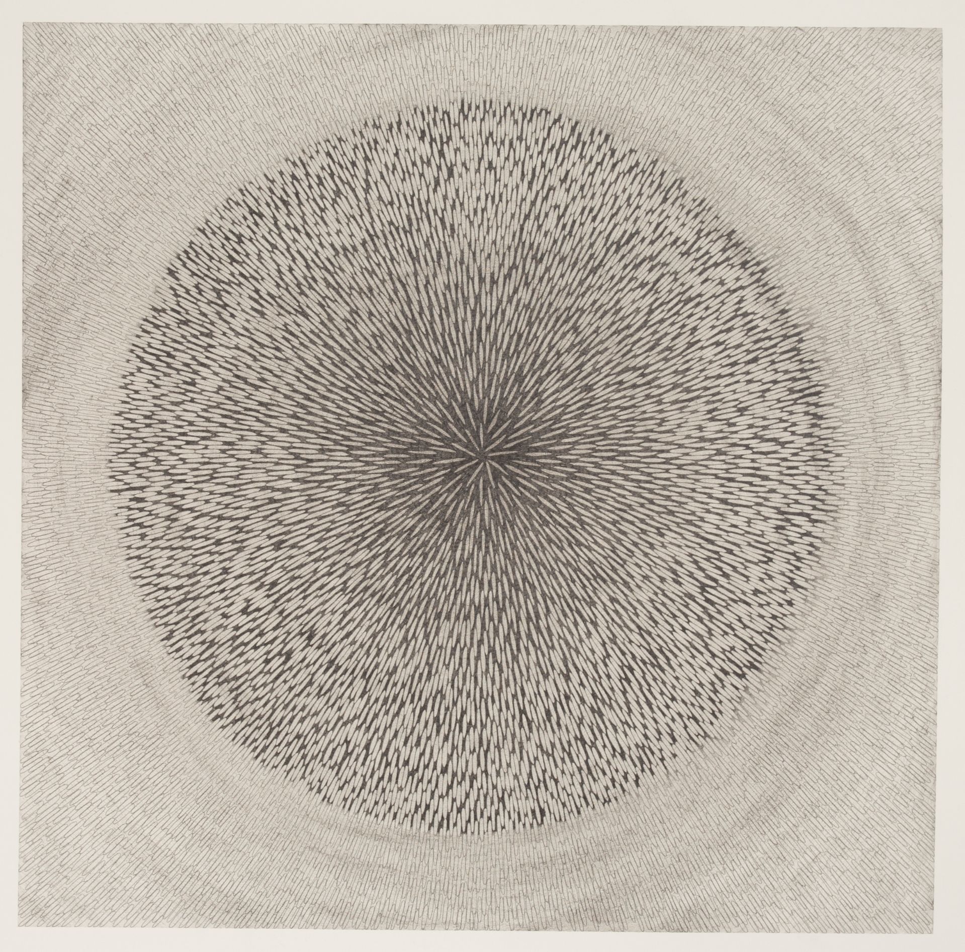 Gallery Talk: Amy Stacey Curtis: “How I Work” | Museum of Art | Bates ...