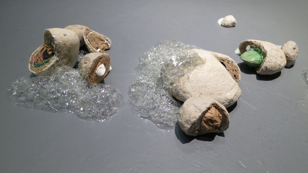 Maika’I Tubbs and A Connection to Place | Museum of Art | Bates College