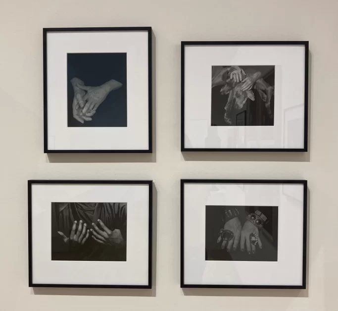 Rena Small Biography | Museum of Art | Bates College