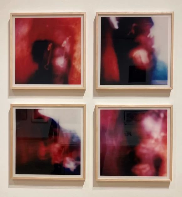 Barbara Pollack Biography | Museum of Art | Bates College