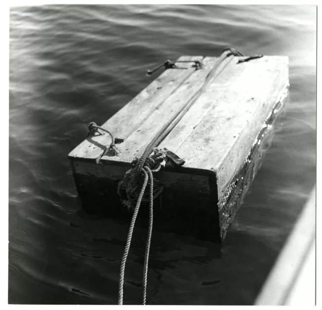 Crop and Click Episode 2 – A Photographic Voice on Maine Lobstering ...