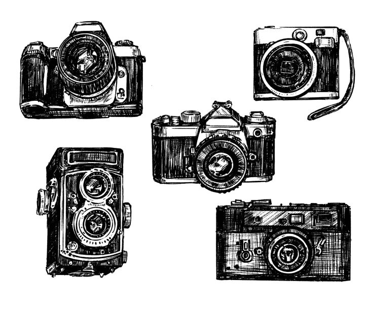 Museum Podcast Special Series – Crop and Click: Considering Truth ...