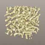 Summer Student Work: Nuclear pasta and other tales from senior physics ...