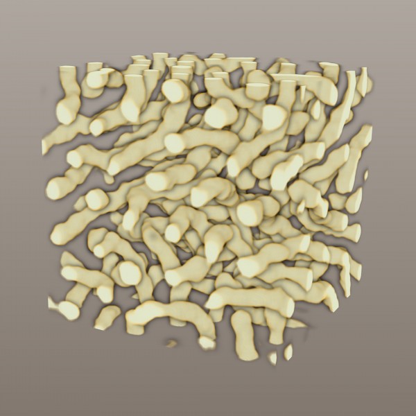 Summer Student Work: Nuclear pasta and other tales from senior physics ...