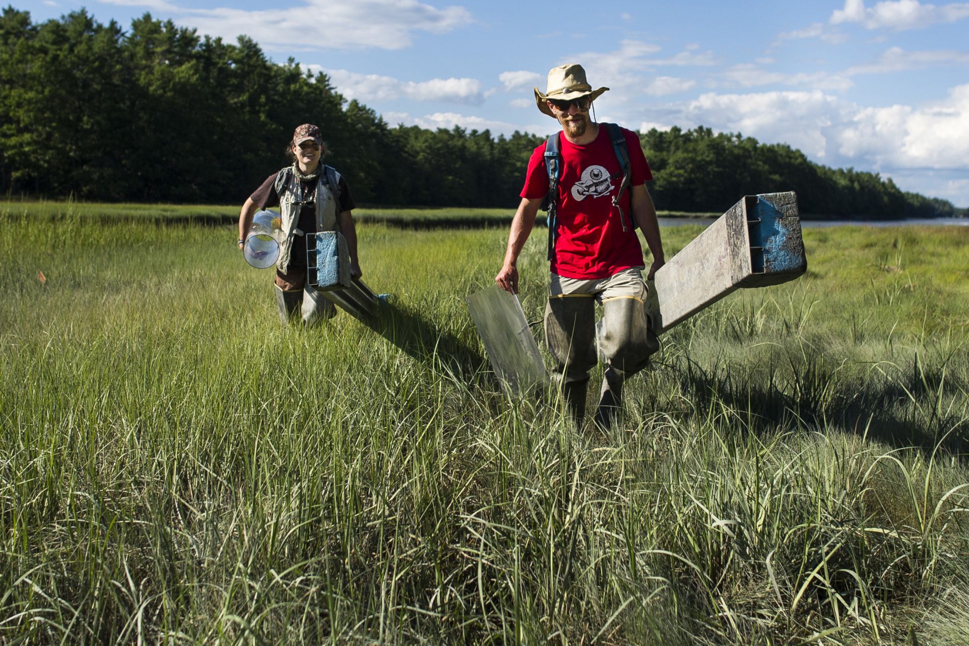 Slideshow: Beach morning, marsh afternoon, and starry night for these ...