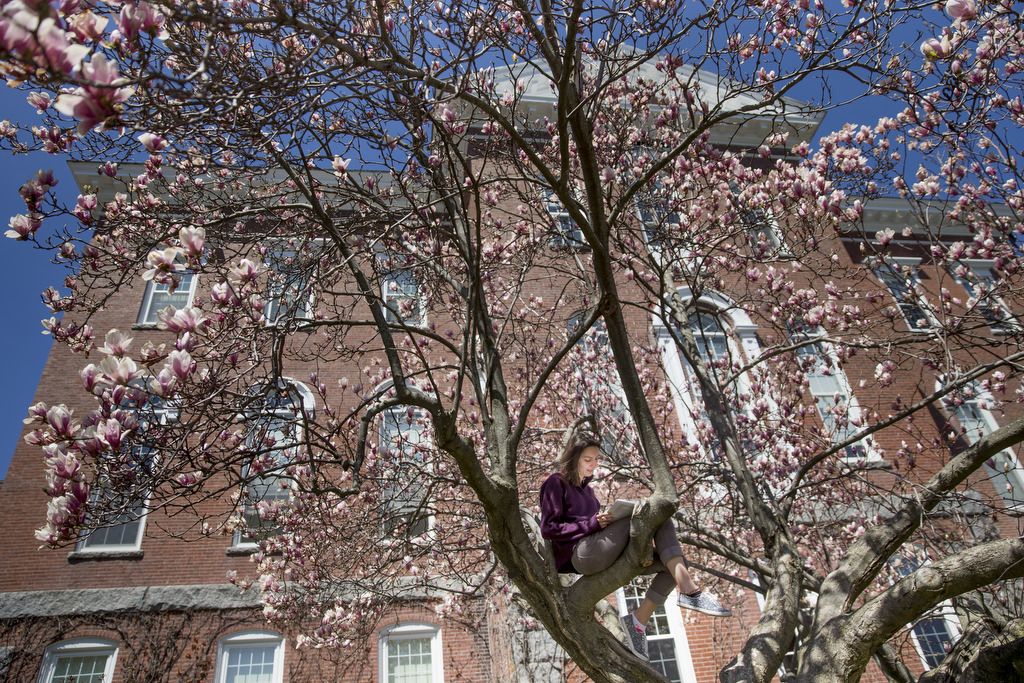 Slideshow: This Month at Bates | News | Bates College