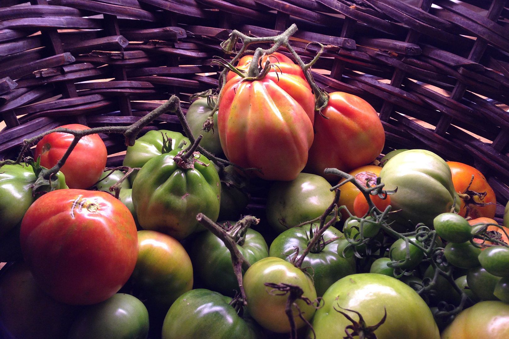 Food system innovation award goes to Bates team | News | Bates College