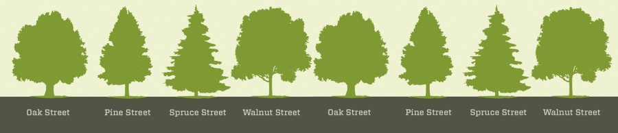What’s in a Name: Tree Streets | News | Bates College