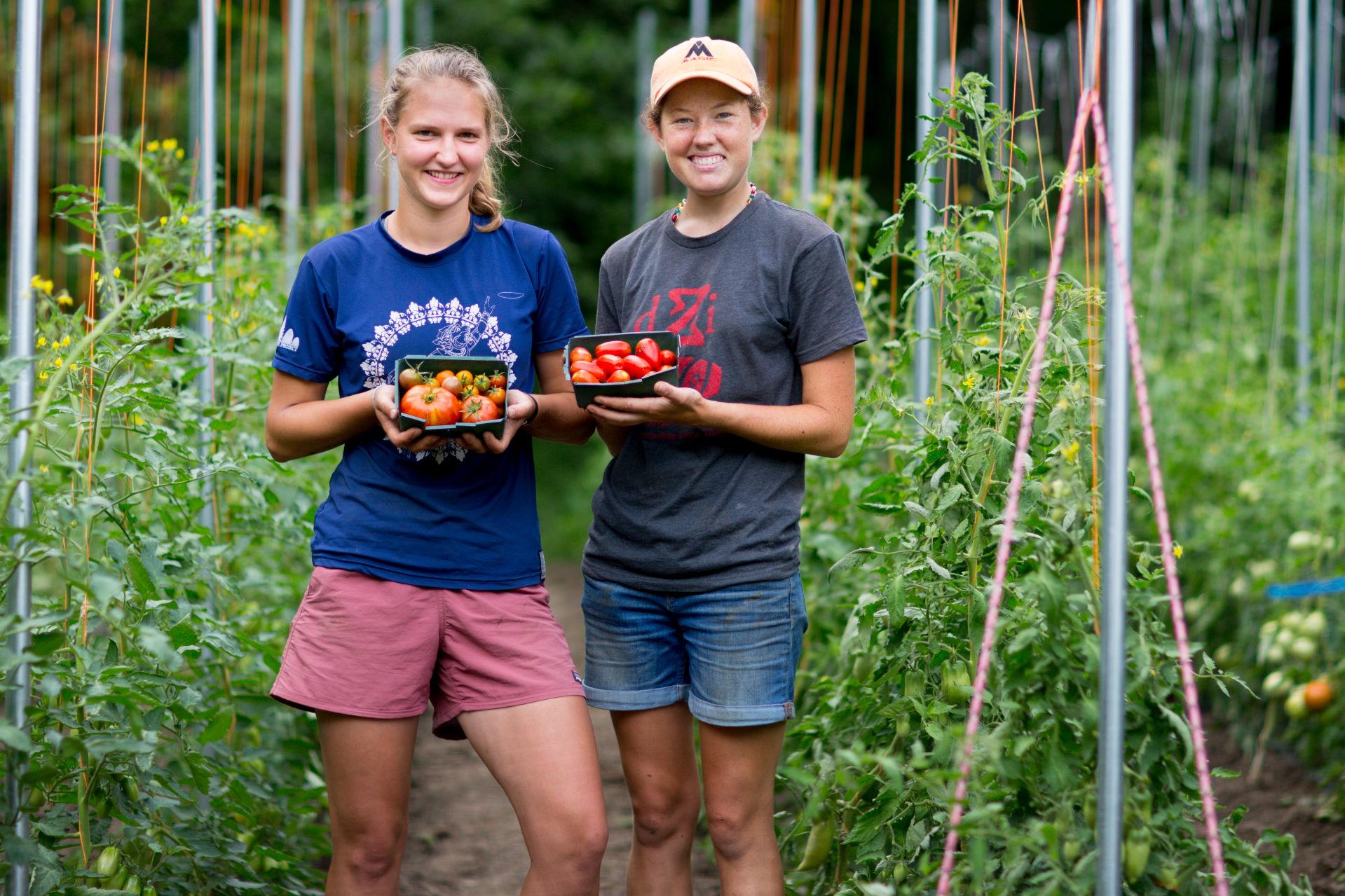 Gardeners cultivate a growth mindset as Bates produce reaches diners ...
