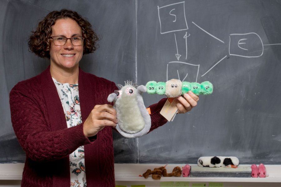 Look What We Found: Meredith Greer’s plush microbes | News | Bates College