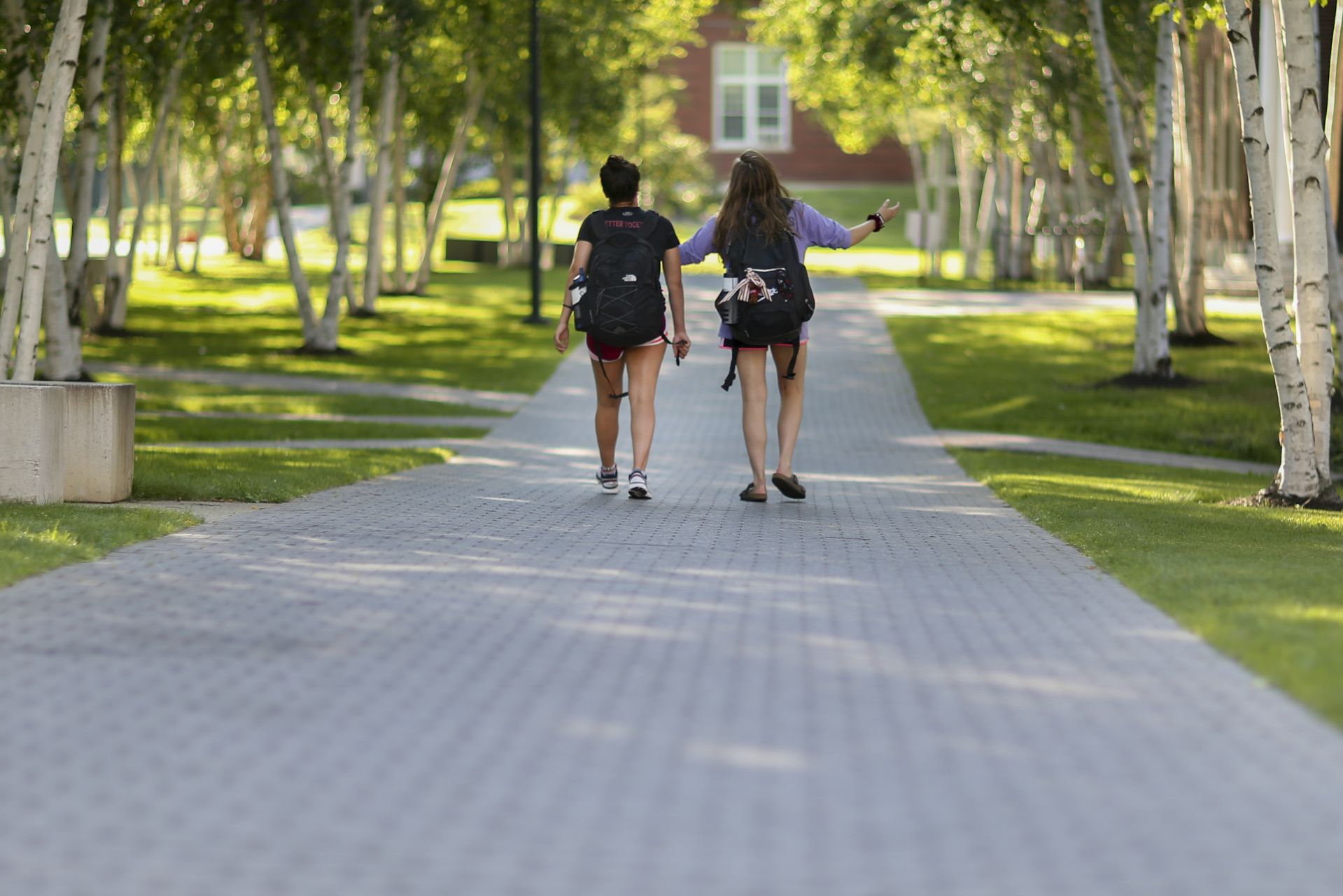 Slideshow: This Summer at Bates | News | Bates College