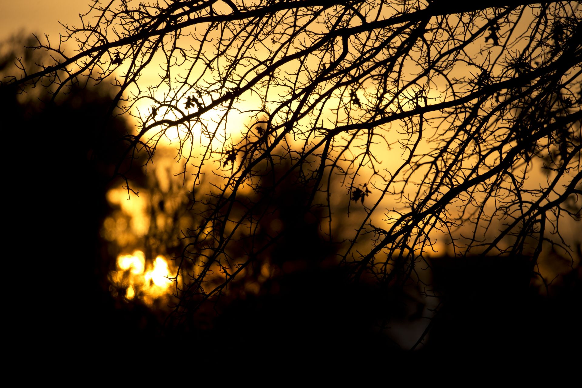 The Lesson I Look Forward to Teaching: Shedding daylight on ...