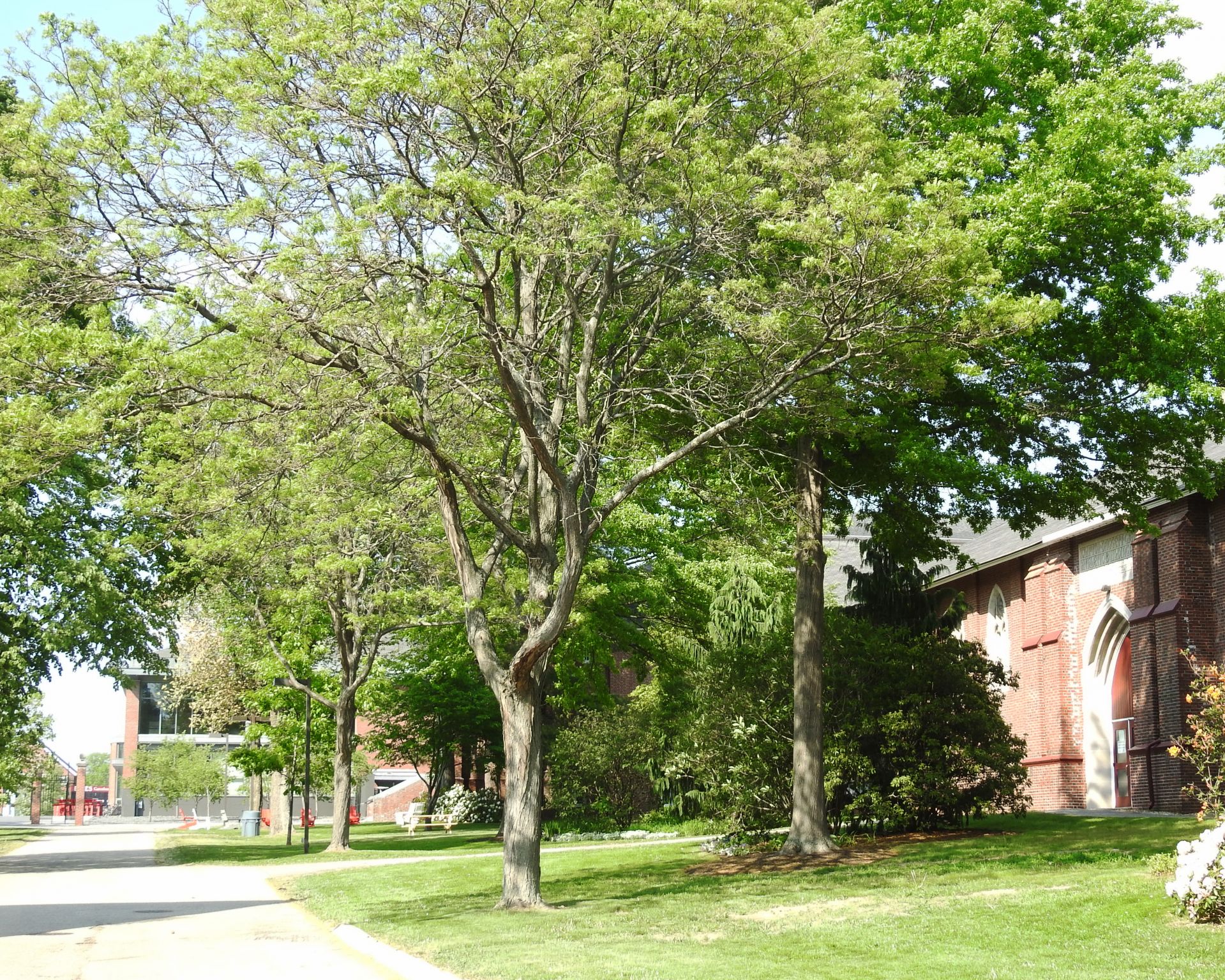 Then and Now: Bates buildings and places, Reunion 2021 edition | News ...