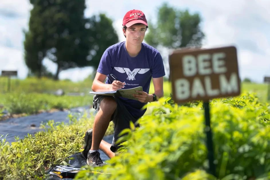 Video: ‘The light and the forest and the whole system together’ — Caleb ...