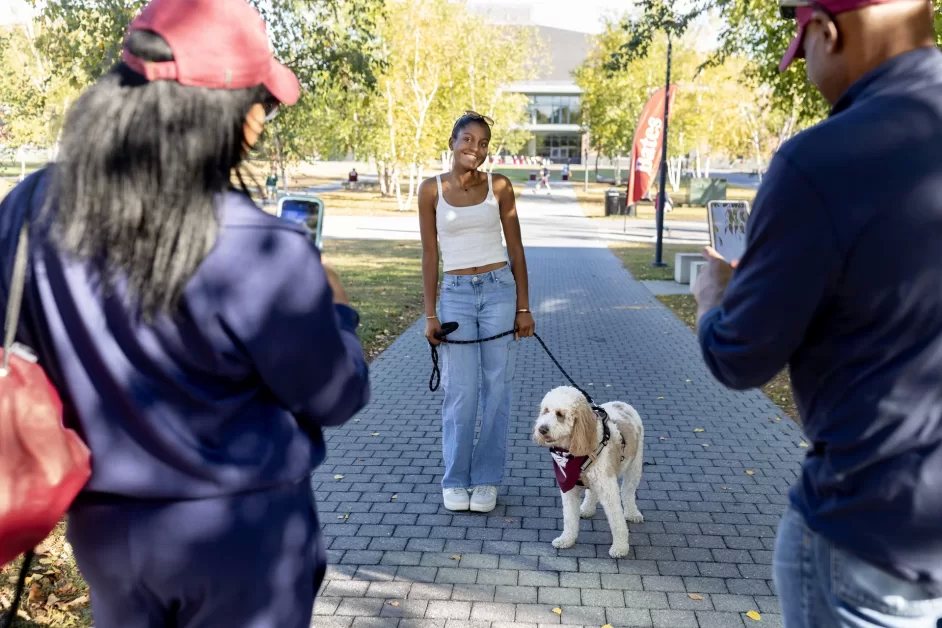 Those infamous 1800s pistol duels? They actually served a purpose ...