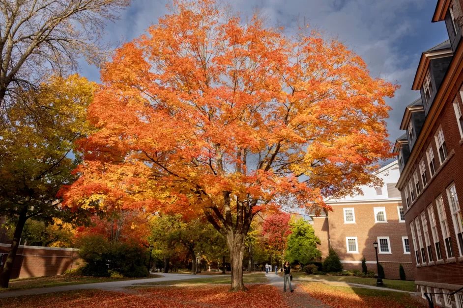 Video: The sights and colors in an autumn flyover of the Bates campus ...