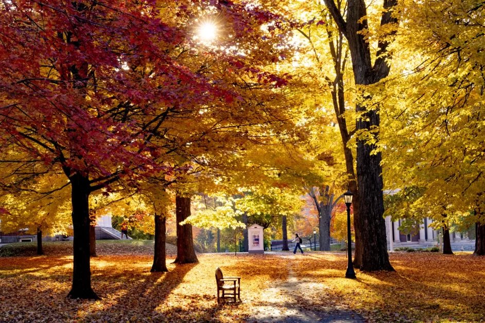 In the news: Sept. 25, 2025 | News | Bates College