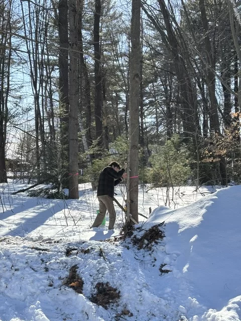 So sweet: 2026 Green Grant awardees tap funds for Bates-made maple ...