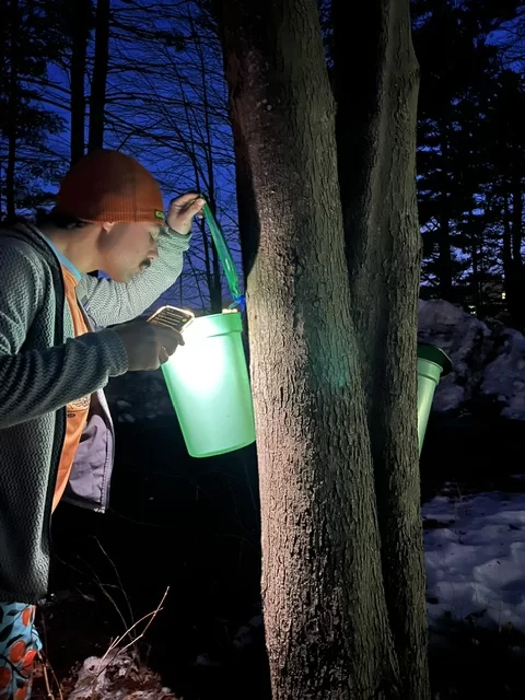 So sweet: 2026 Green Grant awardees tap funds for Bates-made maple ...