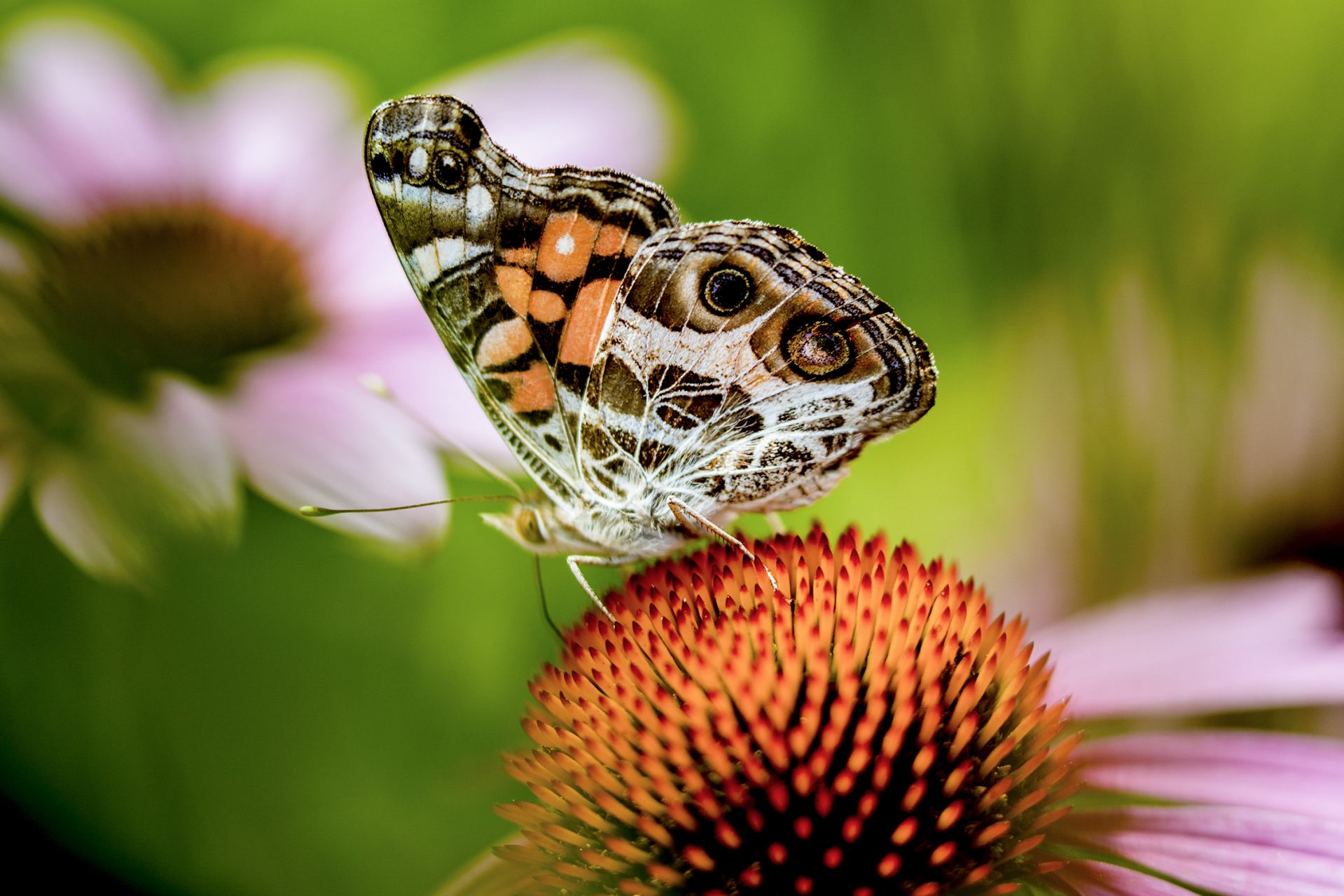 Mapping Etna Fileshare as a Network Drive | Research Resources | Bates ...