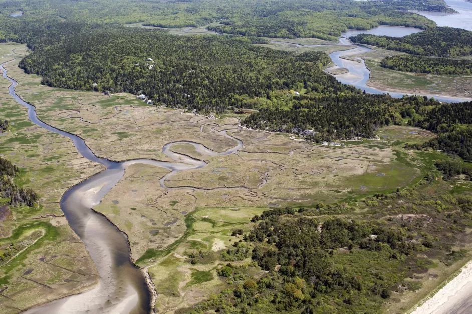 Museum of Art | Bates College