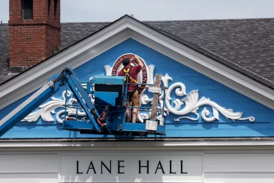 American Elm | Bates Canopy | Bates College