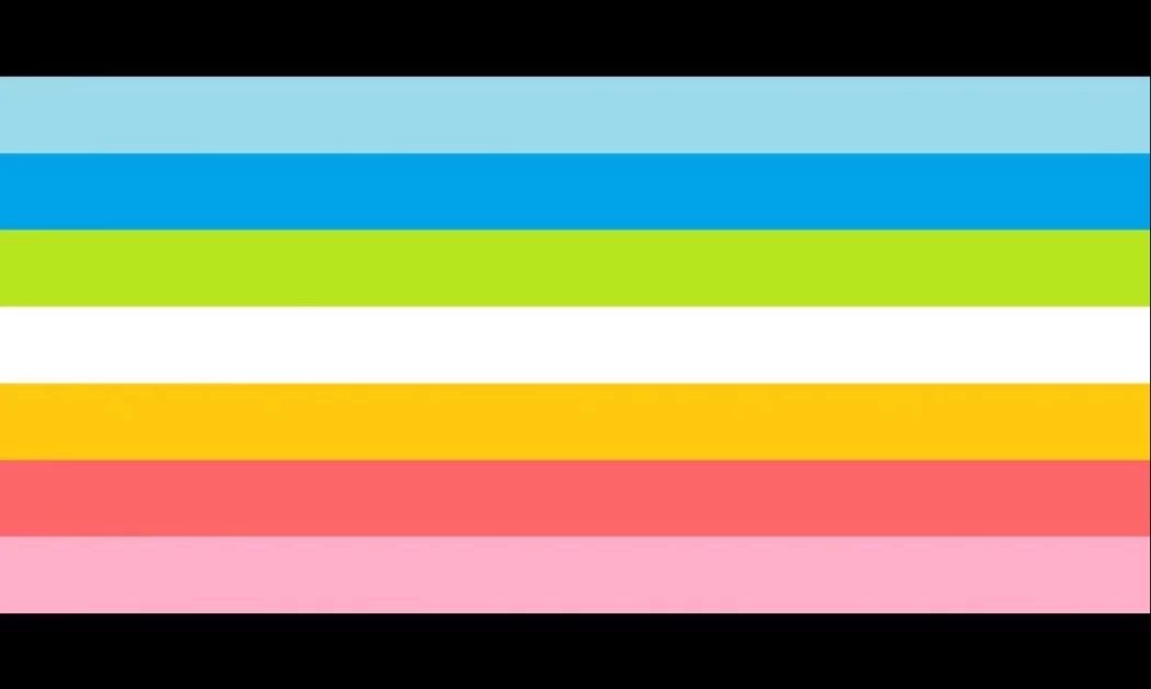 Flags of the LGBTQ+ Community | Student Center for Belonging and ...